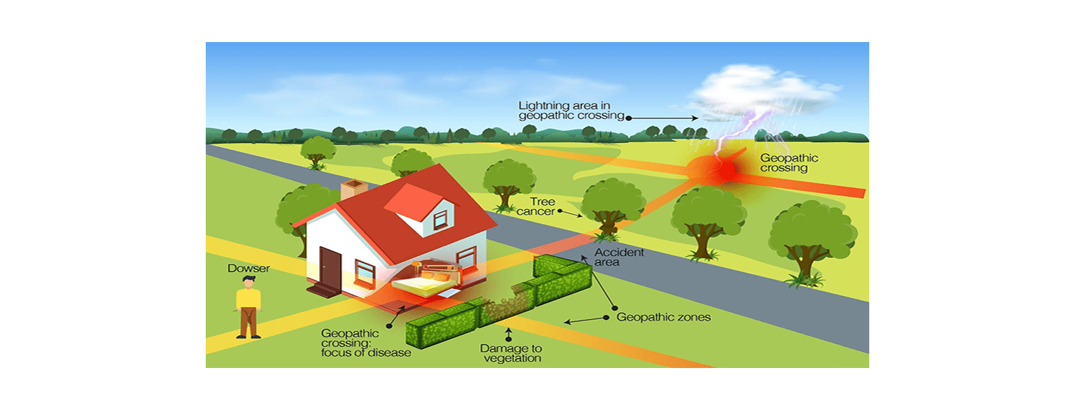 Geopathic Stress and Vastu Consultant | Aura Vaastu Consultancy